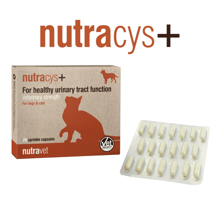 VetSelect - Nutravet