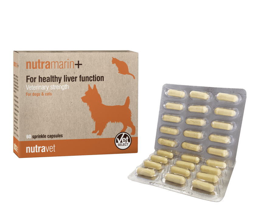 News Archives - Page 2 of 6 - Nutravet