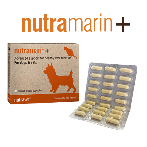 Nutravet launches Nutramarin+ - advanced liver support for pets - Nutravet